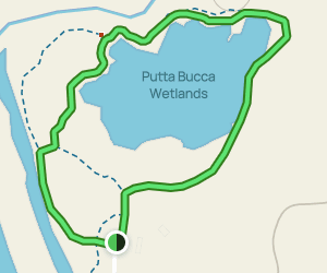 Putta Bucca Wetlands River Loop: 6 Reviews, Map - New South Wales ...