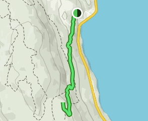 Fur Brigade Trail, British Columbia, Canada - 200 Reviews, Map | AllTrails
