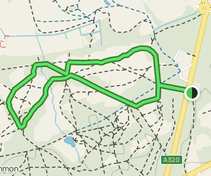 Horsell Common Short Circular: 28 Fotos - Surrey, England | AllTrails