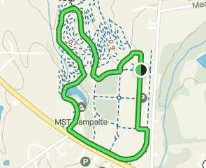 Oak Ridge Town Park Loop, North Carolina - 169 Reviews, Map | AllTrails