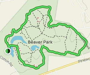 Beaver Park Perimeter Trail Loop: 31 Reviews, Map - Maine | AllTrails