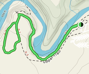 Ridgetop Trail Loop: 489 Reviews, Map - Tennessee | AllTrails