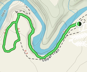 Ridgetop Trail Loop: 565 Reviews, Map - Tennessee | AllTrails