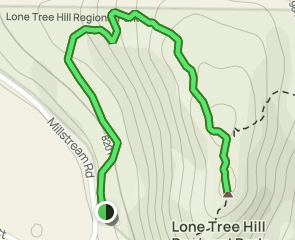 Lone Tree Hill: 464 Reviews, Map - British Columbia, Canada | AllTrails
