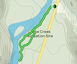 Giant Cedar Trail: 23 Reviews, Map - British Columbia, Canada | AllTrails