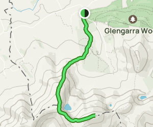 Glengarra Wood to Galtymore Mountain: 166 Reviews, Map - County ...