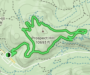 Prospect Hill Trail: 62 Reviews, Map - Colorado | AllTrails
