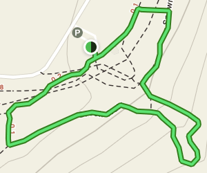 Fields Pond Audubon Center Loop: 134 fotos - Maine | AllTrails