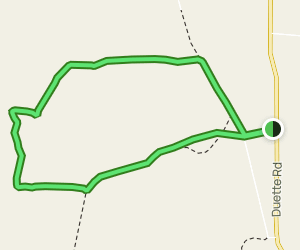 Duette Preserve North Loop: 3 Reviews, Map - Florida | AllTrails