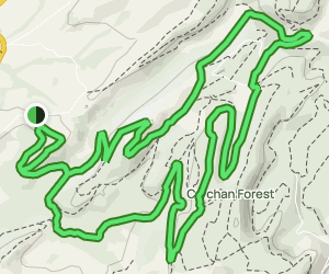 Crychan Forest 20km Circular: 20 foto - Galles | AllTrails