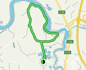 Chilton Trinity and River Parrett Circular, Somerset, England - 10 ...
