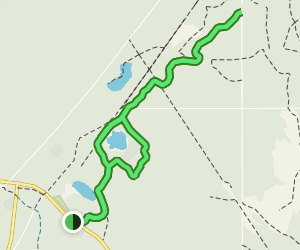 Sandilands Red Trail: 12 Reviews, Map - Manitoba, Canada | AllTrails