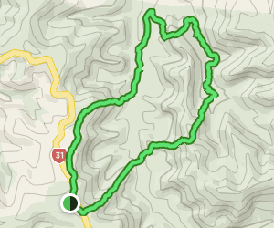 Te Kauri Park Scenic Reserve Walk: 3 Reviews, Map - Waikato, New ...