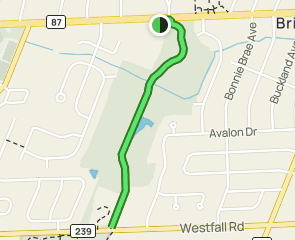 Brickyard Trail, New York - 174 Reviews, Map | AllTrails