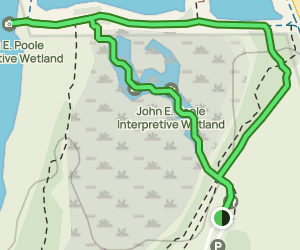 John E. Pool Interpretive Wetland Loop: 135 foto's - Alberta, Canada ...