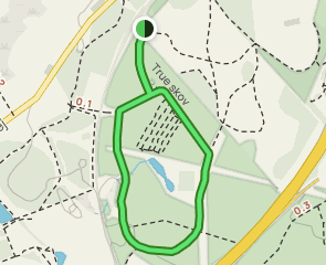 Lyngby Skov: 5 Reviews, Map - Central Denmark, Denmark | AllTrails