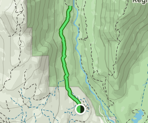 Big Cedar: 286 Reviews, Map - British Columbia, Canada | AllTrails