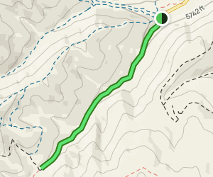 Rose Canyon Spring Trail: 245 Reviews, Map - Utah | AllTrails