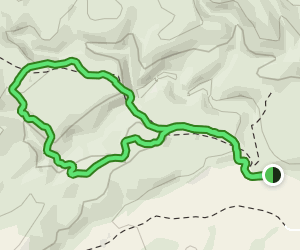 Ngamuwahine Loop Track: 25 Reviews, Map - Bay of Plenty, New Zealand ...