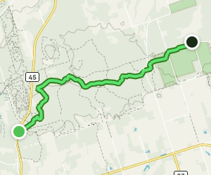 Oak Ridges Moraine Trail: Northumberland Forest (Centre Section), 42 ...