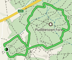 AllTrails | Puddletown Forest Circular: 35 Reviews, Map - Dorset, England