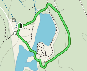 Curraghchase Forest Park Loop, County Limerick, Ireland - 5 Reviews ...