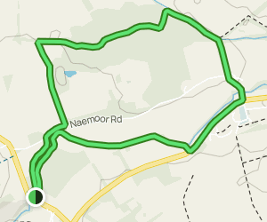 Rumbling Bridge and Crook of Devon Circular: 51 Reviews, Map - Perth ...