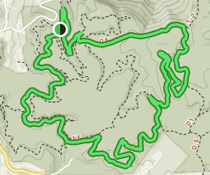 Clovis, Dalton, and Craig Branch Loop Trail: 57 Reviews, Map - West ...