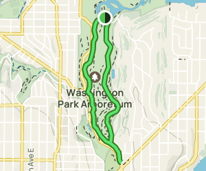 Washington Park Arboretum Loop: 605 Reviews, Map - Washington | AllTrails