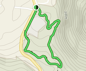 Eungella Pine Grove Track: 6 Fotos - Queensland, Australia | AllTrails