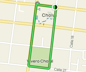 Cholul Main Park - Cholul Nursery: 0 Reviews, Map - Yucatán, Mexico ...