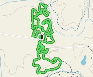 Lake Clark Loop and Sandy Creek Loop, 16 Fotos - Georgia | AllTrails