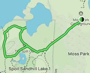 Split Oak Lake Loop, Florida - 142 Reviews, Map | AllTrails
