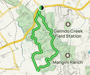Paraiso Trail to Ohlone Trail Loop: 121 Reviews, Map - California ...