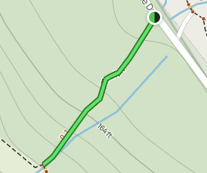 Trail 7 to Wreck Beach: 30 Reviews, Map - British Columbia, Canada ...