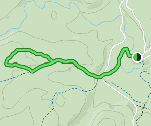 Pine Woods Loop: 52 Fotos - Alberta, Canada | AllTrails