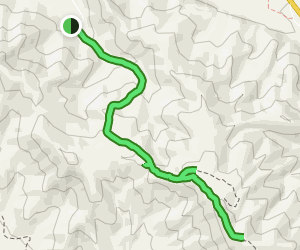 Peak 8193 via Big Hollow: 6 Reviews, Map - Utah | AllTrails