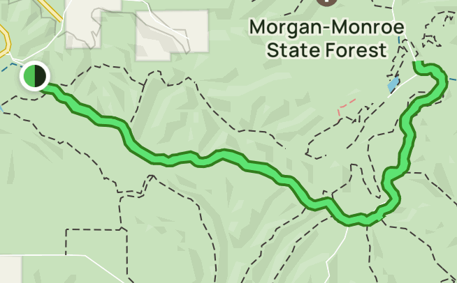 Morgan Monroe State Forest