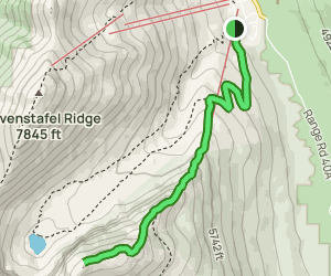 Mount Haig Ridge: 5 Reviews, Map - Alberta, Canada | AllTrails