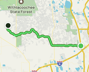 Florida Trail: Reedy Creek to Green Swamp, Florida - 4 Reviews, Map ...