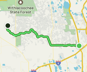 AllTrails | Florida Trail: Reedy Creek to Green Swamp: 3 Reviews, Map ...