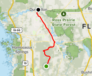 Florida Trail: Citrus to Cross Florida Greenway - Florida | AllTrails