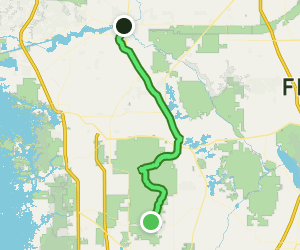 Florida Trail: Citrus to Cross Florida Greenway: 351 Fotos - Florida ...