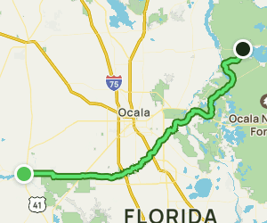 Florida Trail: Cross Florida Greenway to Ocala National Forest ...