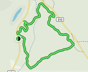 Sandilands Green Loop: 135 Reviews, Map - Manitoba, Canada | AllTrails