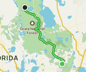 AllTrails | Florida Trail: Cassia to Ocala National Forest: 6 Reviews ...