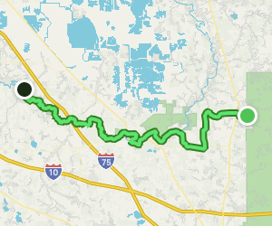 Florida Trail: Osceola National Forest to Suwannee River: 1 Reviews ...
