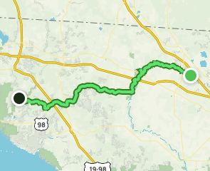 Florida Trail: Suwannee River to Big Bend (Aucilla River), Florida - 4 ...