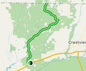 Florida Trail: Blackwater Spur Trail: 7 Reviews, Map - Florida | AllTrails