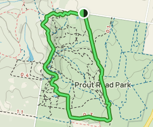 AllTrails | Prout Road Park via Mount Petrie: 19 Reviews, Map ...